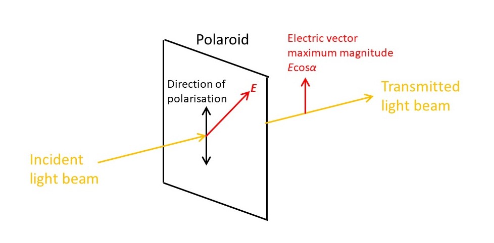20.28 Polarised light – Thinking about Science with David Hukins