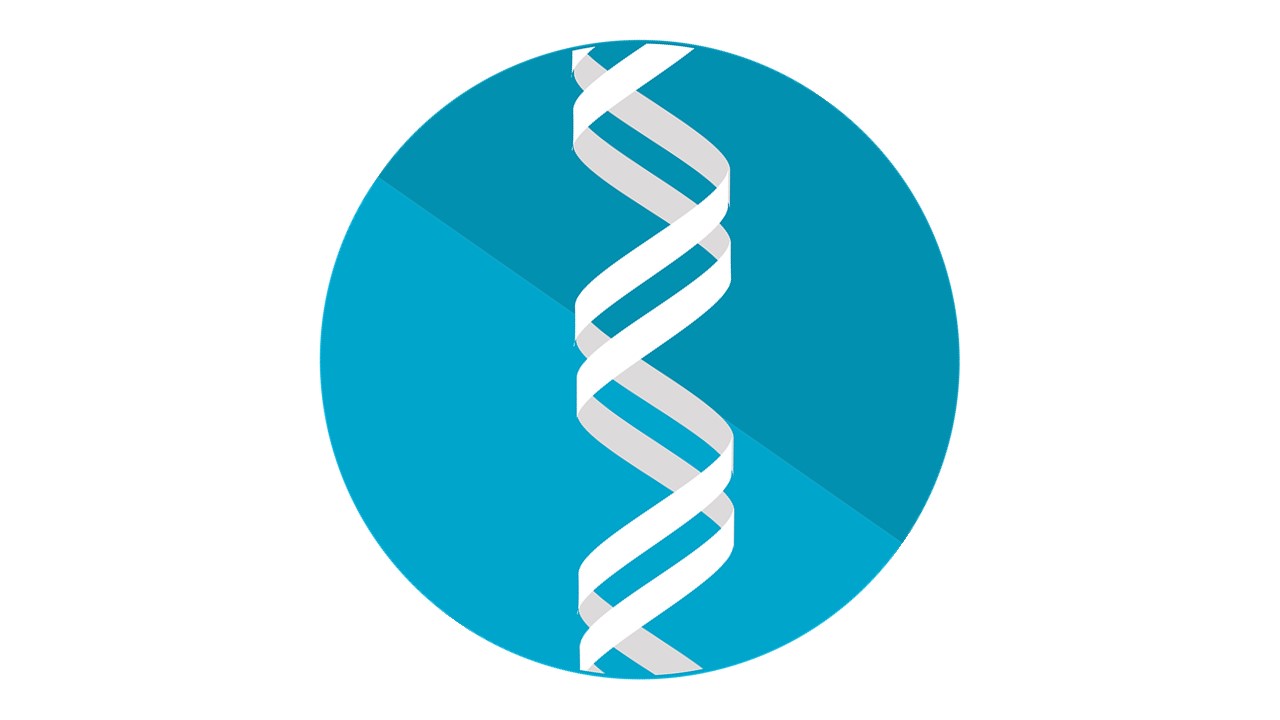 21.6 The helix – Thinking about Science with David Hukins