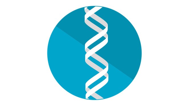 21.6 The helix – Thinking about Science with David Hukins