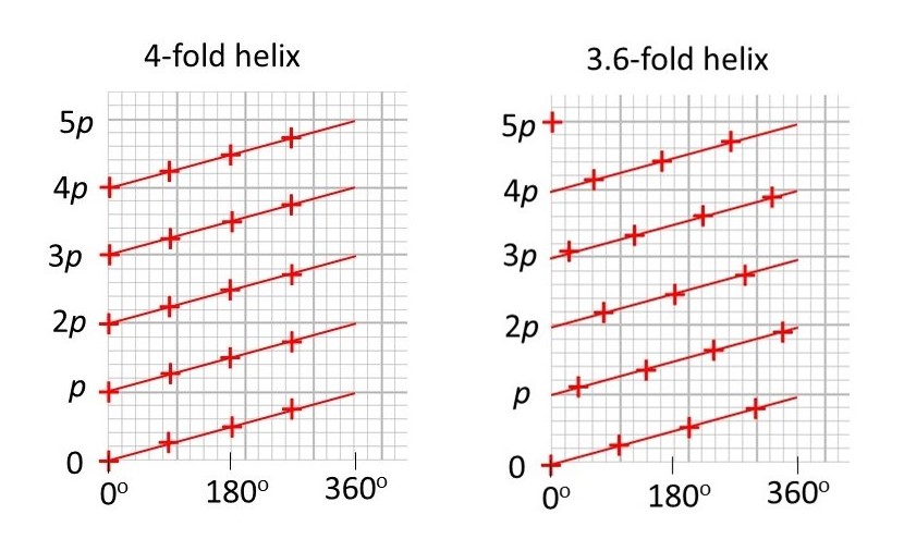 21.6 The helix – Thinking about Science with David Hukins