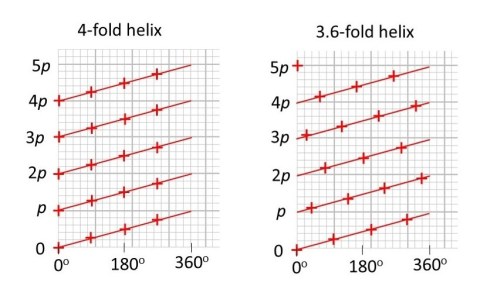 21.6 The helix – Thinking about Science with David Hukins