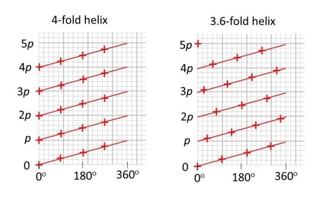 21.6 The helix – Thinking about Science with David Hukins