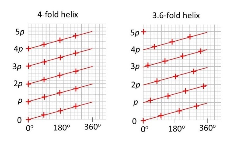 21.6 The helix – Thinking about Science with David Hukins