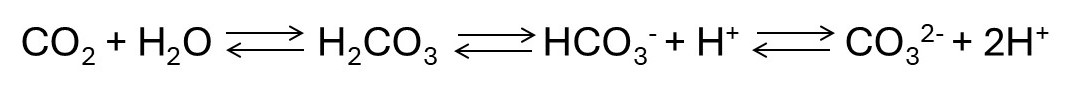 25.7 Buffers – Thinking about Science with David Hukins